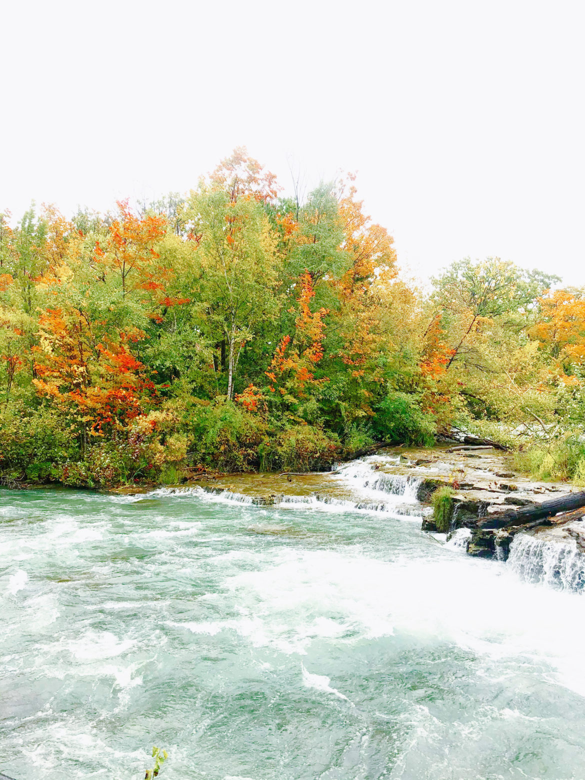 Buffalo and Niagara Falls Travel Guide - bits and bites