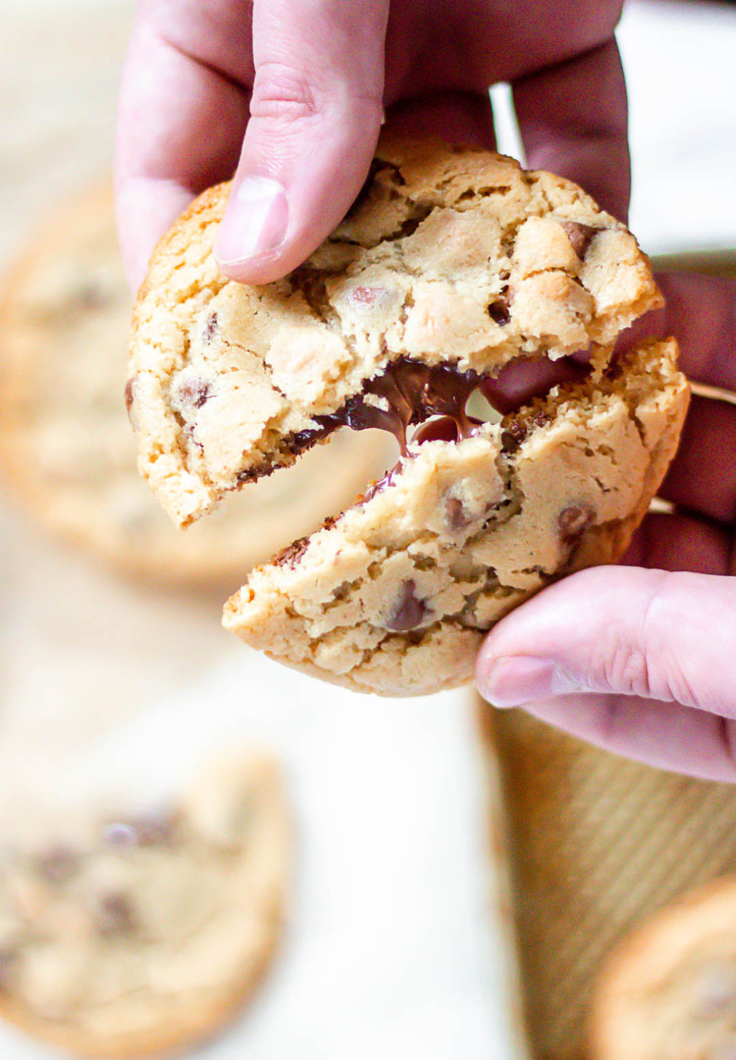 Nutella Chocolate Chip Cookies - bits + bites