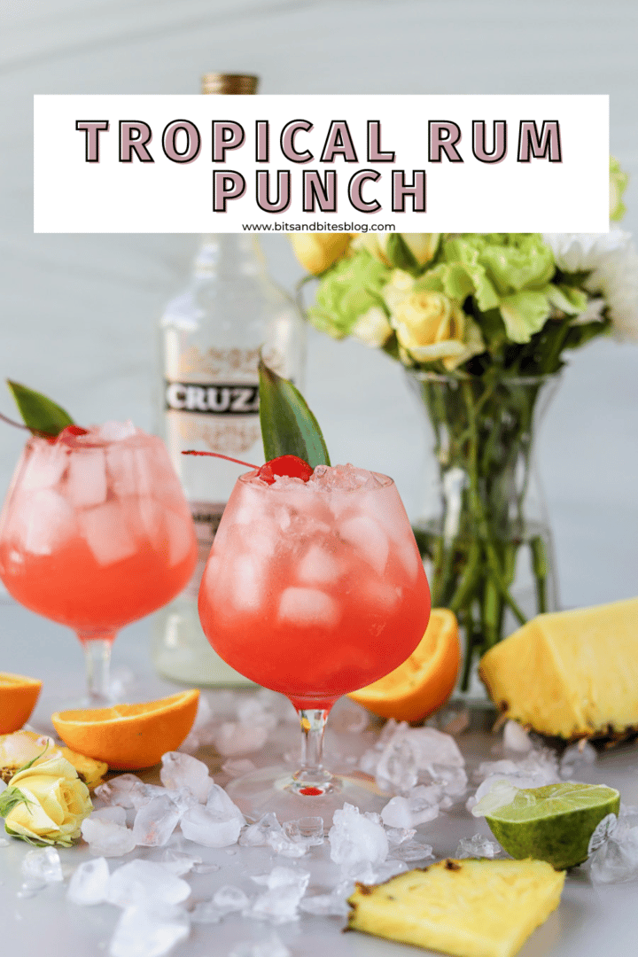 How to Make a Tropical Rum Punch Cocktail - bits and bites