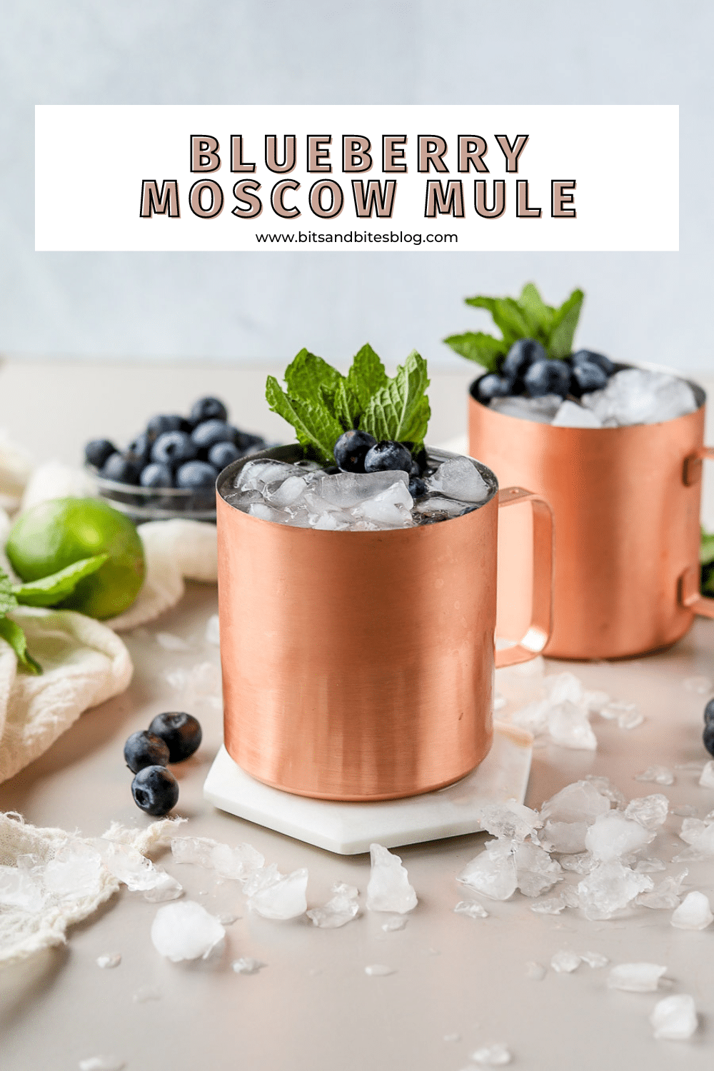 Blueberry Mule Recipe with Fresh Blueberries - bits and bites