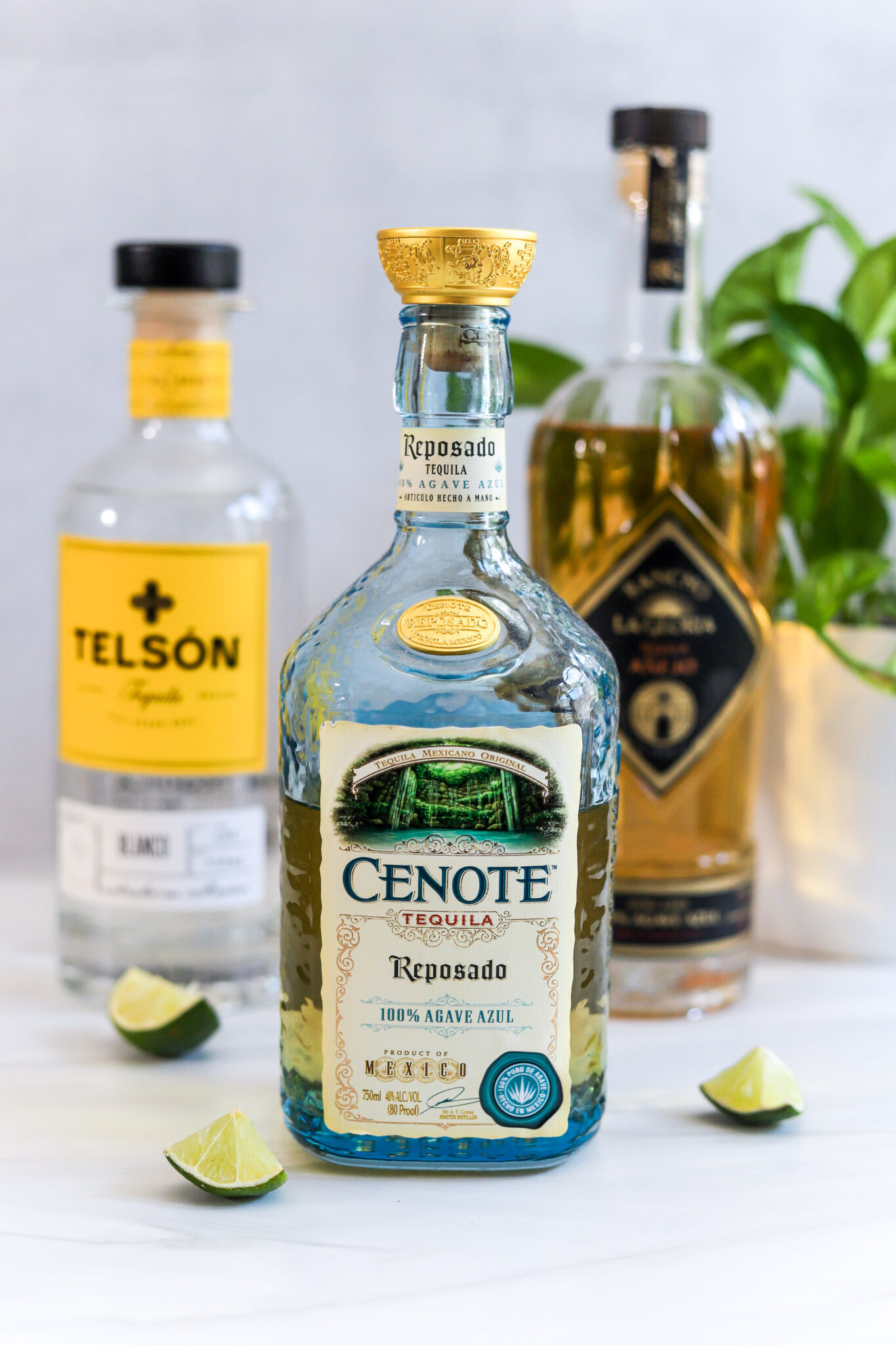 Home Bar 101: Different Types of Tequila - bits and bites